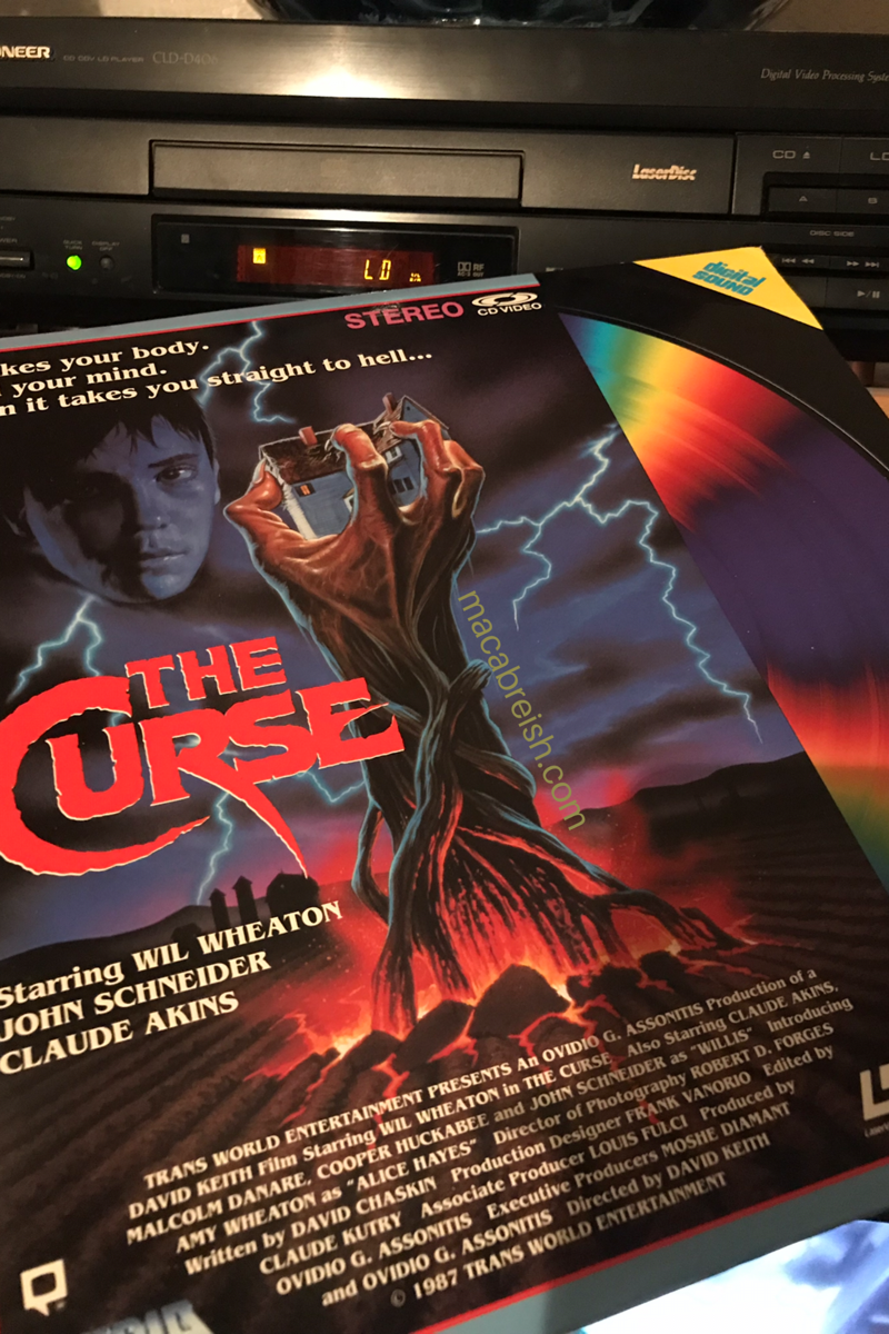Macabre...ish Horror Review: The Curse